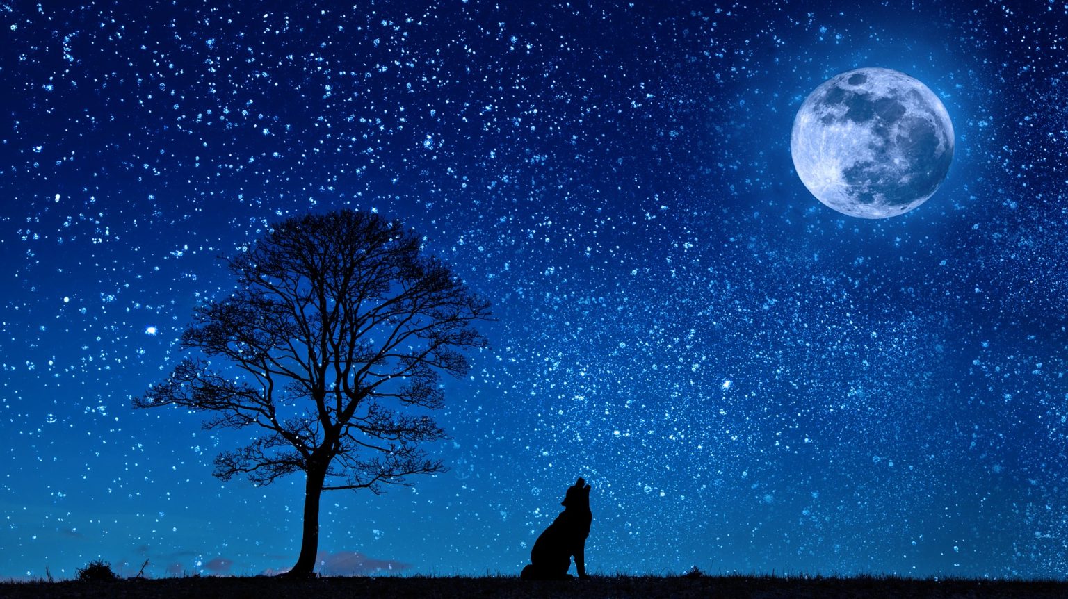 How to Photograph Moon- the best way to capture Moon