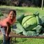 Dedicated Third-Grader Grows A Cabbage Weighing 31 Pounds
