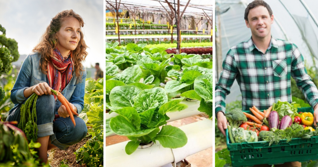 5 Great Benefits to Having a Backyard Farm