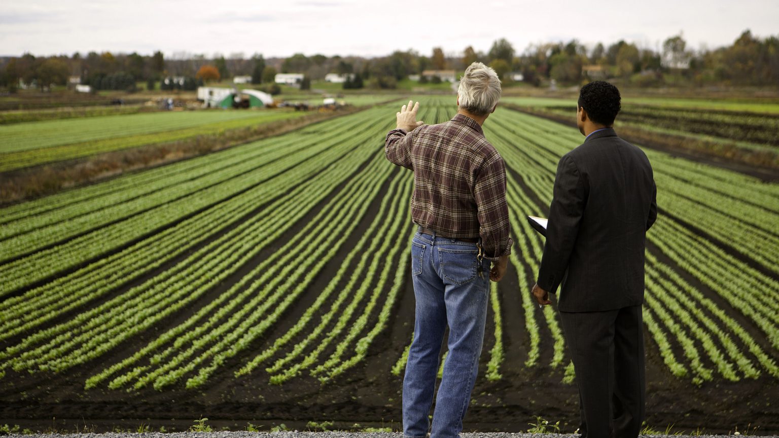 3 Tips For Setting Up Your Property For Farm Animals