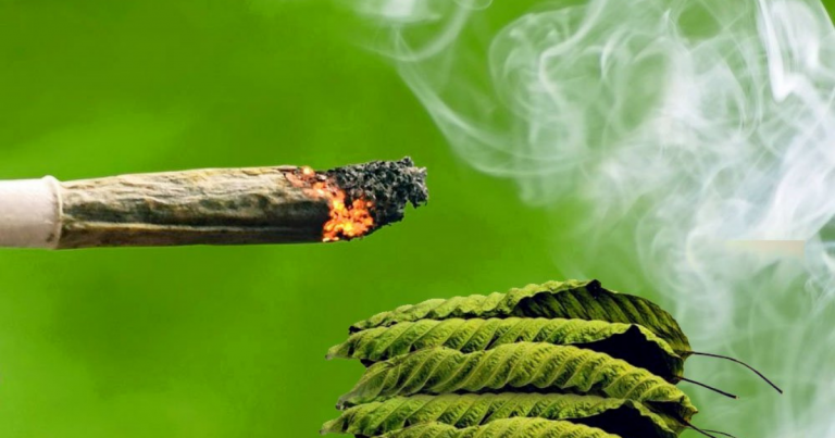 What You Should Know About Smoking Kratom Powder