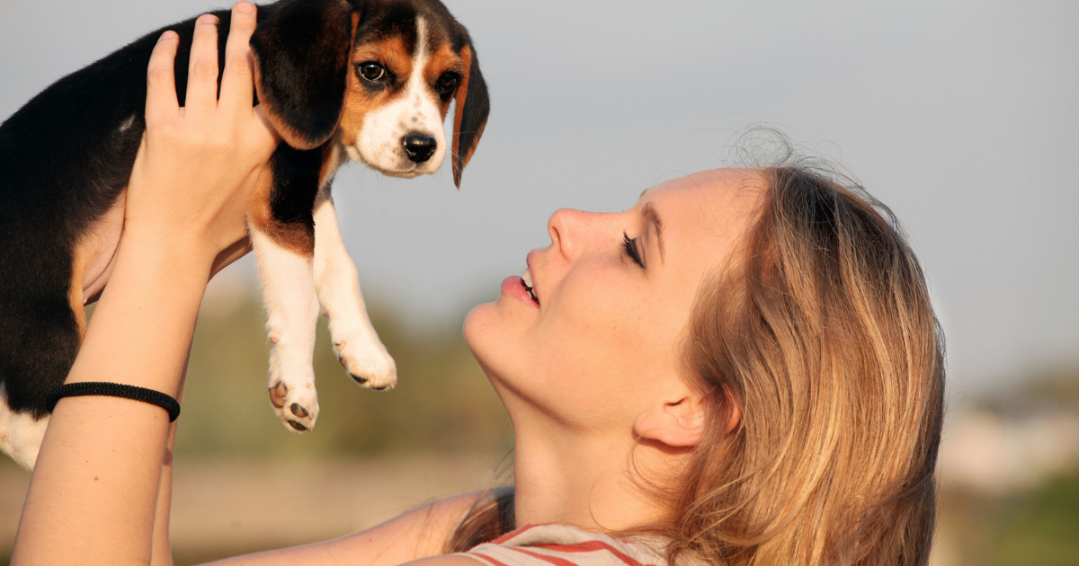 The Only First Time Dog Owner Checklist You Need