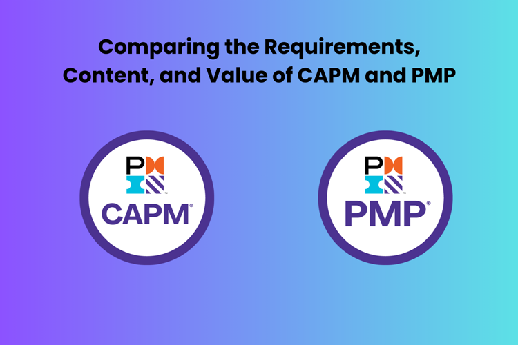Comparing The Requirements, Content, And Value Of CAPM And PMP